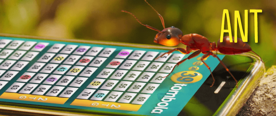 Meet Ant - I'm a Celebrity's Official Sponsor | tombola