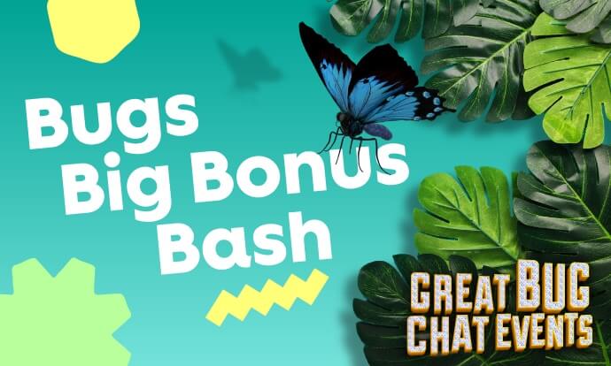Great BUG chat evets