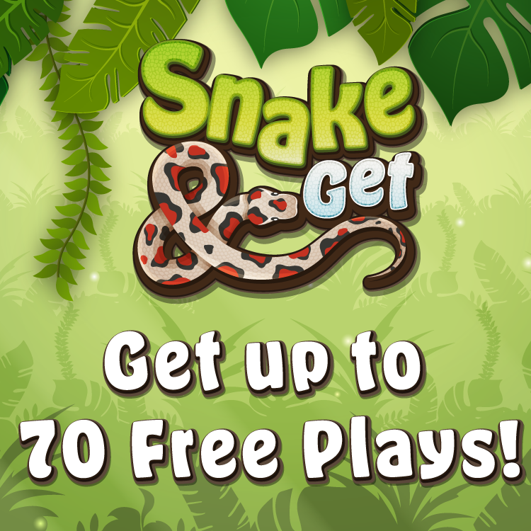 Snake and Get | tombola arcade