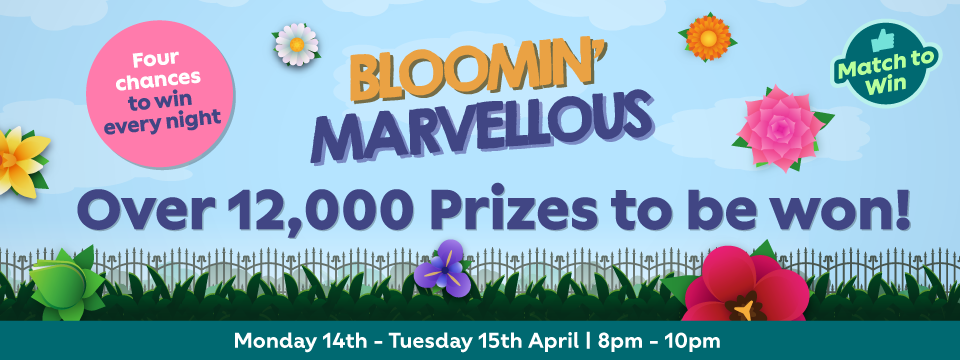 Bloomin' Marvellous | tombola arcade