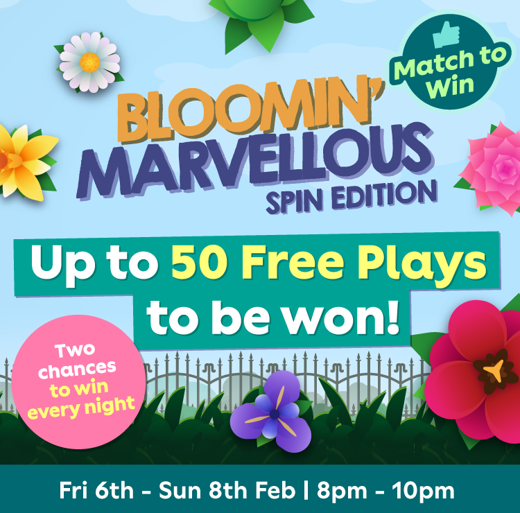 Bloomin' Marvellous | tombola arcade